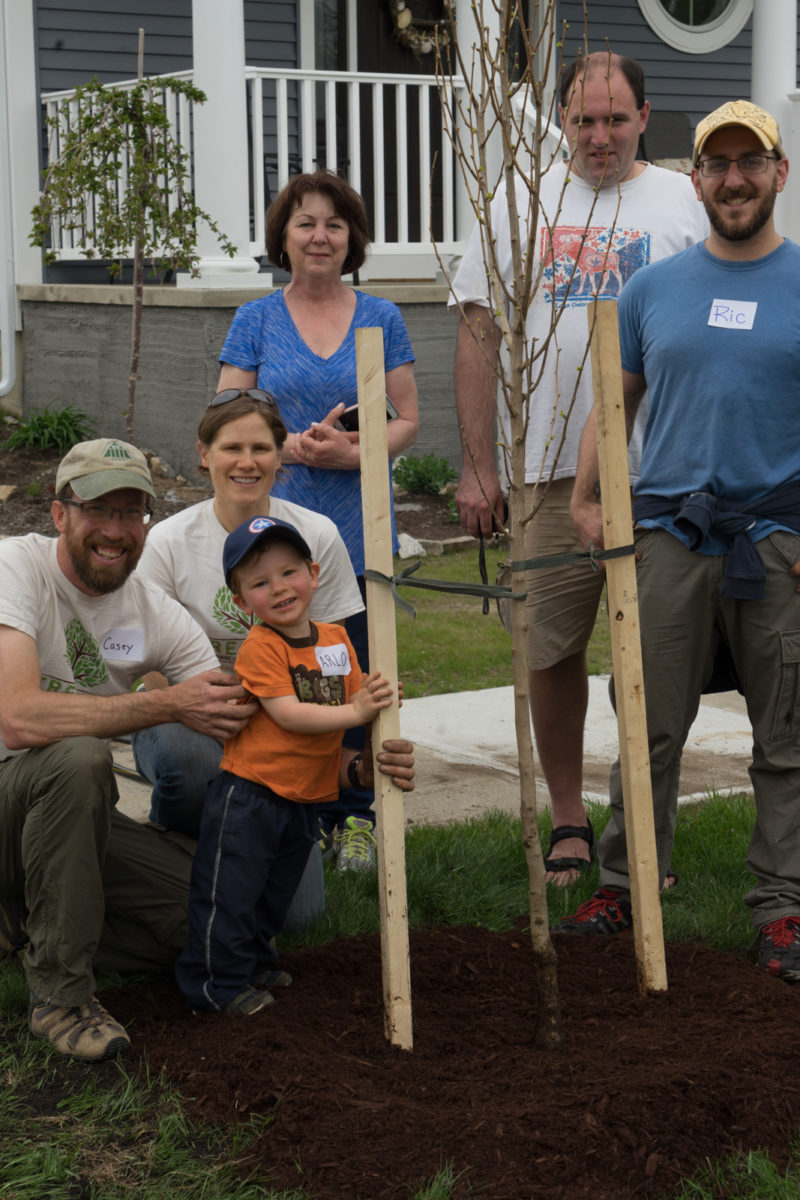 TREE TOGA: Trees for the next generation - Sustainable Saratoga