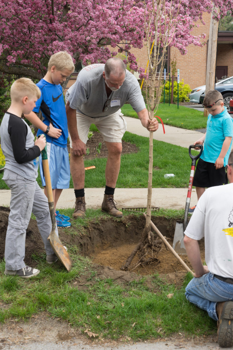 TREE TOGA: Trees for the next generation - Sustainable Saratoga