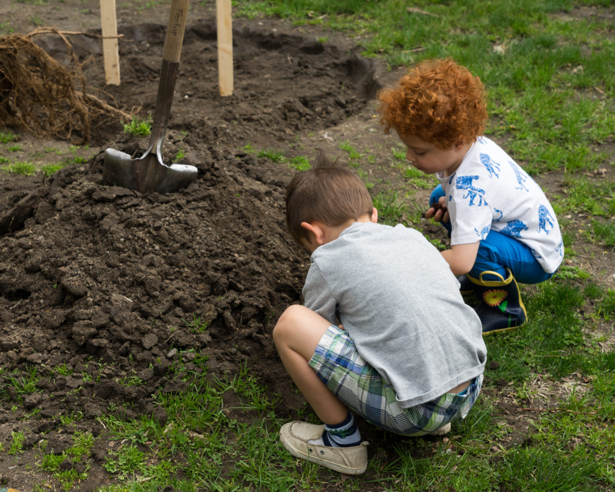 Save the Date: Tree Toga 7 is Oct. 7 - Sustainable Saratoga