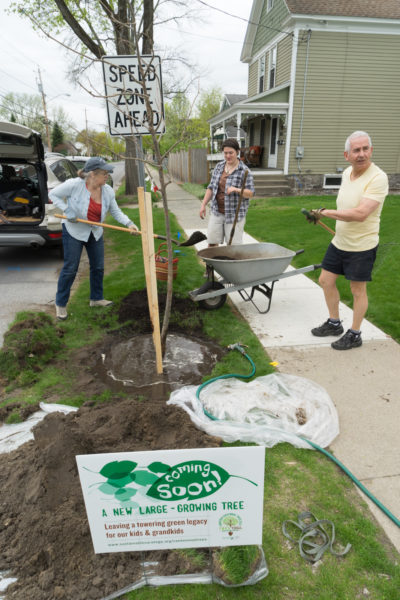 TREE TOGA: Trees for the next generation - Sustainable Saratoga
