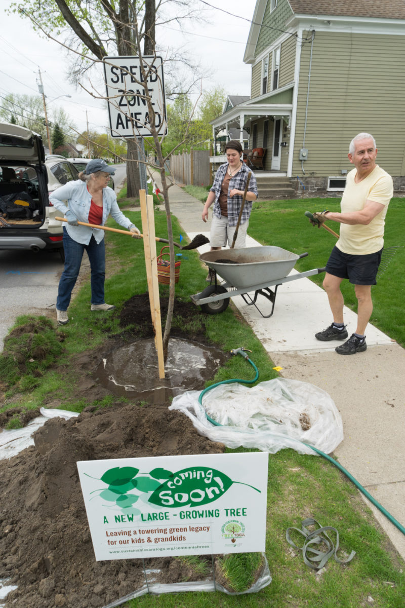 TREE TOGA: Trees for the next generation - Sustainable Saratoga