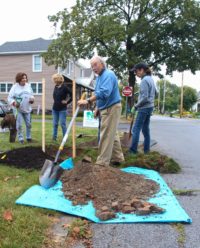 TREE TOGA: Trees for the next generation - Sustainable Saratoga