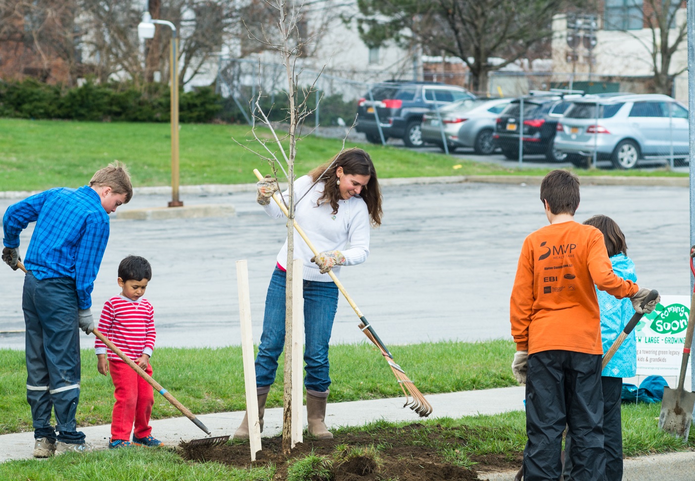 Our Tree Planting Efforts - Sustainable Saratoga