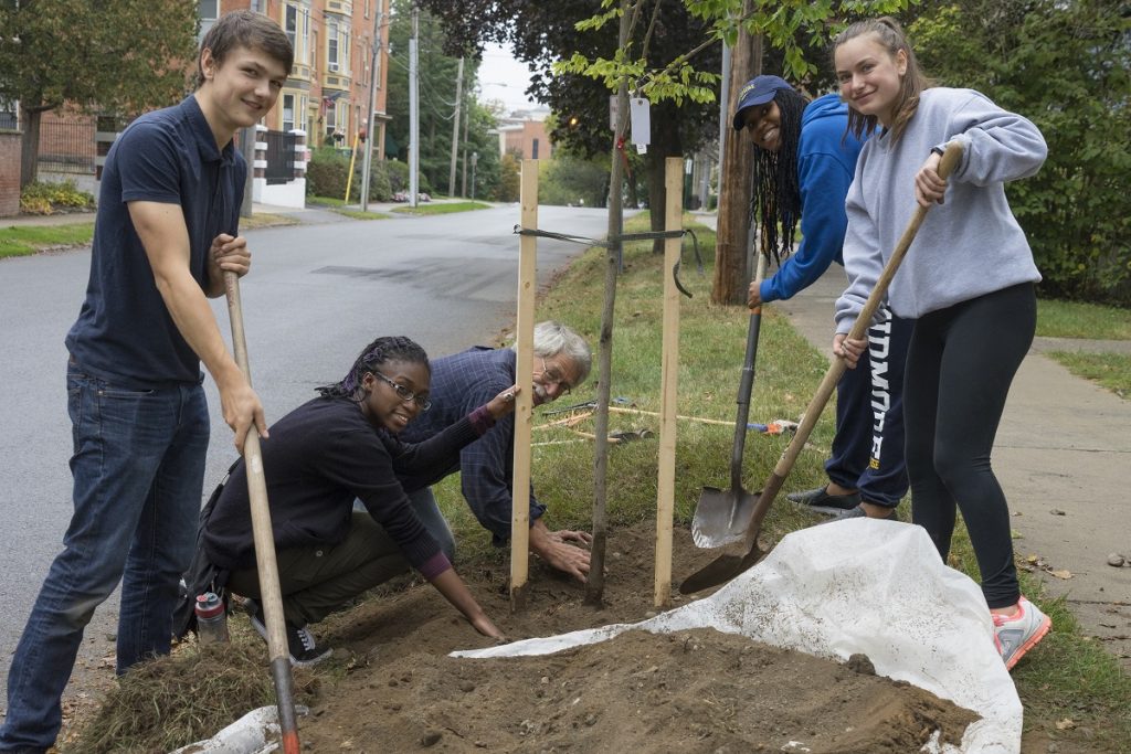 TREE TOGA: Trees for the next generation - Sustainable Saratoga