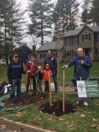 TREE TOGA: Trees for the next generation - Sustainable Saratoga