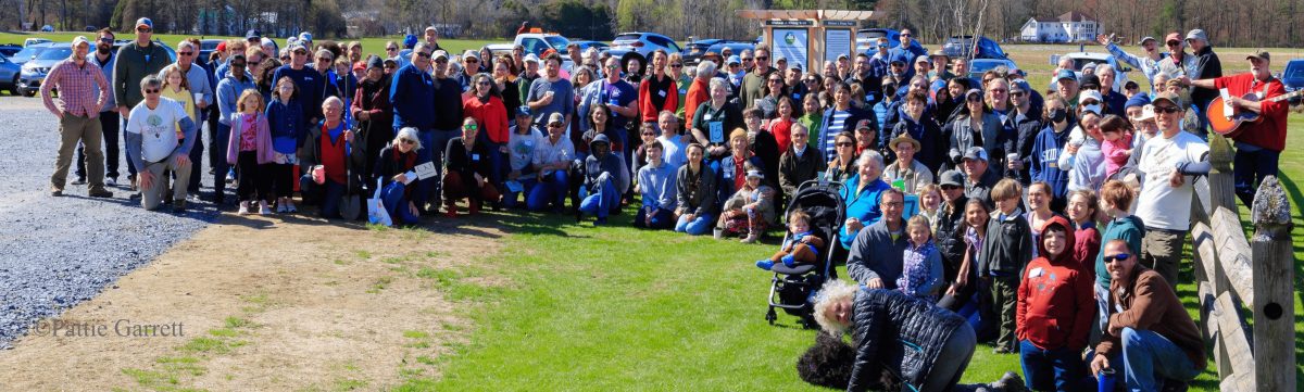 Tree Toga Trees diversify and beautify our urban forest - Sustainable ...