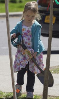 TREE TOGA: Trees for the next generation - Sustainable Saratoga