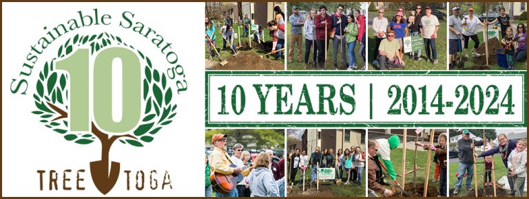 Tree Toga - Sustainable Saratoga